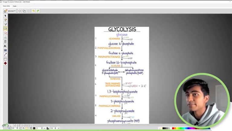 How to Use Anki for the MCAT (517 Scorer Strategy) – MedLife Mastery