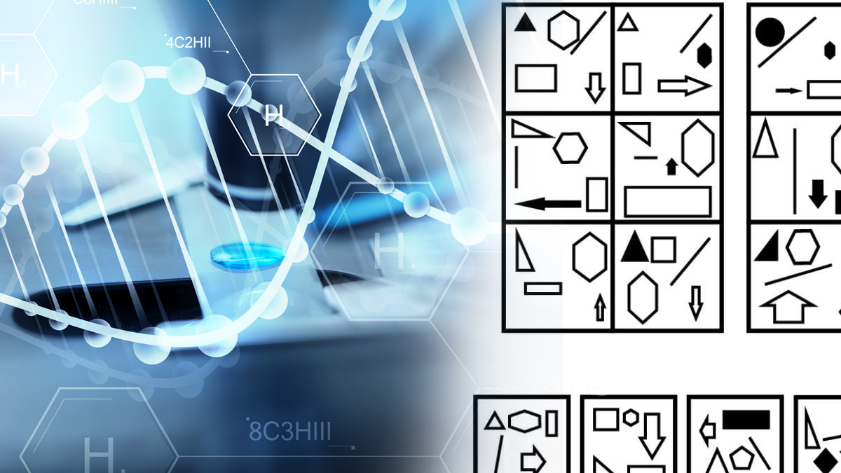 MCAT vs UCAT: What’s the Difference? – MedLife Mastery