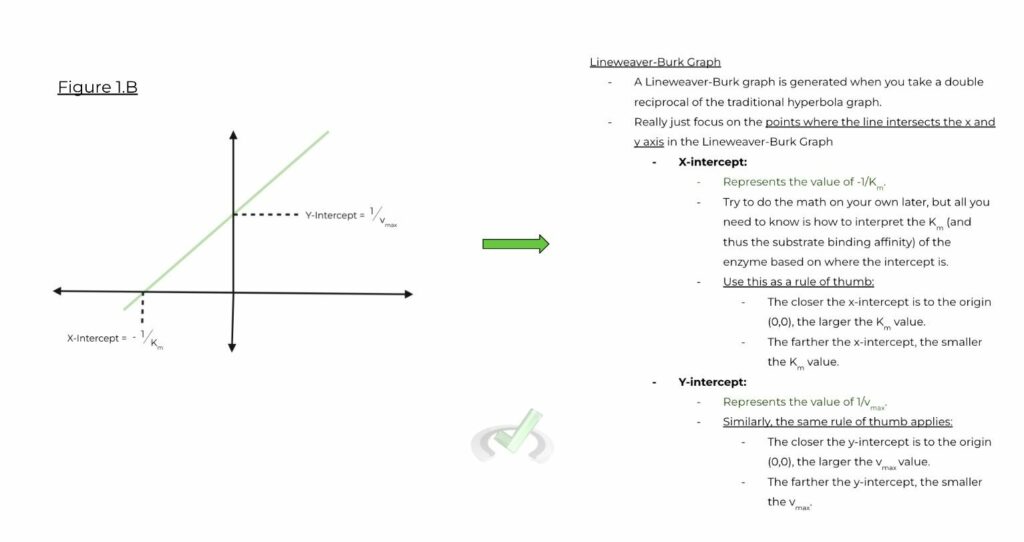 Enzyme Kinetics on the MCAT – MedLife Mastery