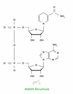 Bioenergetics: Biological Oxidation-Reduction Reactions on the MCAT ...