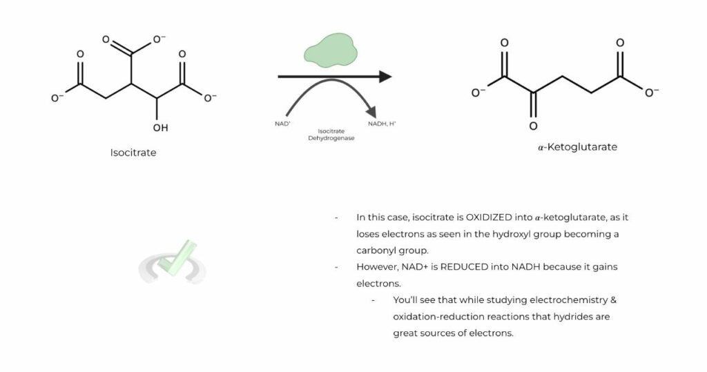 Enzyme Models & Classification on the MCAT – MedLife Mastery