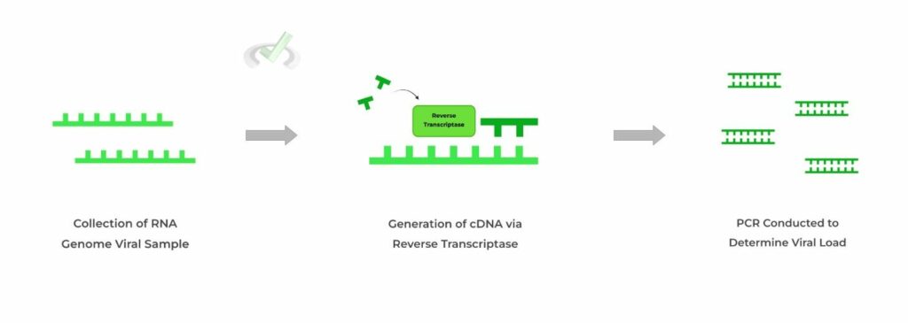 Biotechnology: Applications of DNA Technology on the MCAT – MedLife Mastery