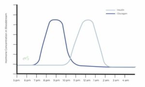 Endocrine Hormones: Antagonistic Hormone Pairs on the MCAT – MedLife ...