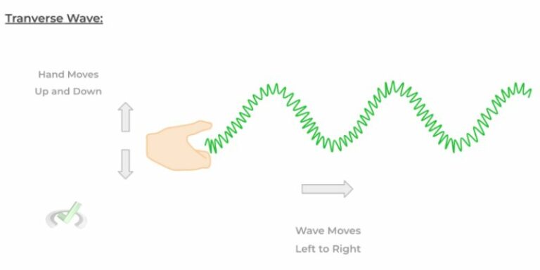 Waves and Sound on the MCAT – MedLife Mastery