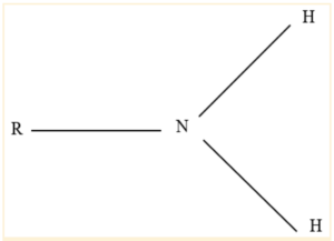 MCAT Organic Chemistry Functional Groups: What are They? – MedLife Mastery