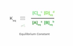 Equilibrium on the MCAT – MedLife Mastery