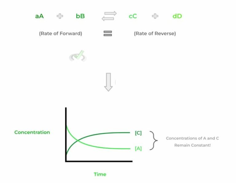 Equilibrium on the MCAT – MedLife Mastery