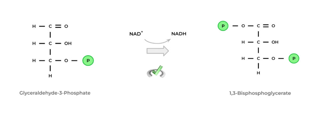 Redox Reactions Organic Chemistry on the MCAT – MedLife Mastery