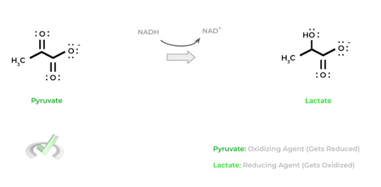 Redox Reactions - General Chemistry on the MCAT – MedLife Mastery