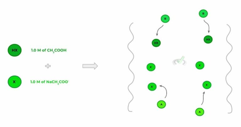 Acids and Bases on the MCAT – MedLife Mastery