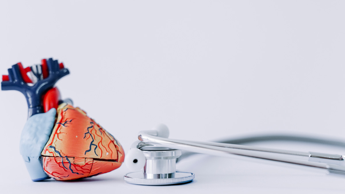 Best Medical Schools for Cardiology – MedLife Mastery