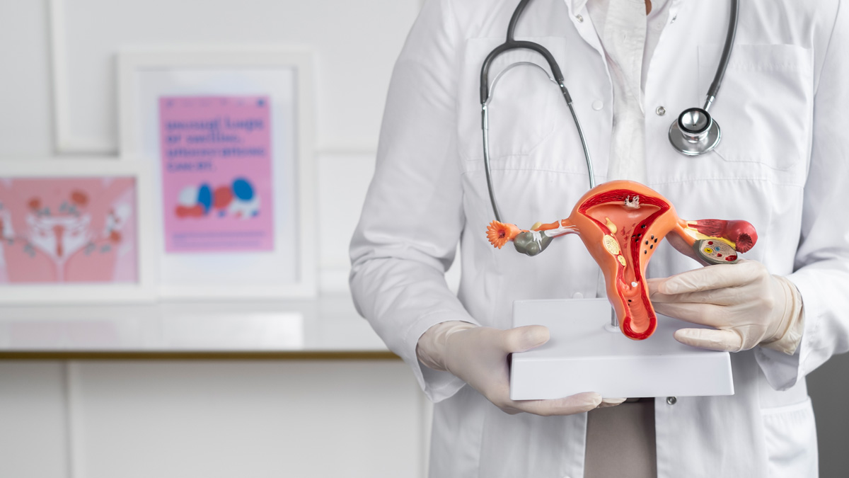 Best Medical Schools for Gynecology – MedLife Mastery