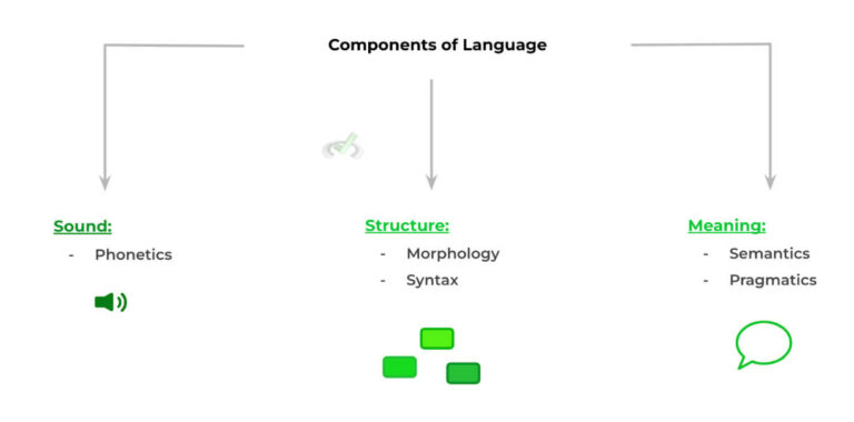 Language Development on the MCAT – MedLife Mastery