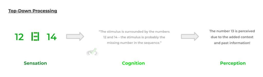 Sensation and Perception on the MCAT – MedLife Mastery