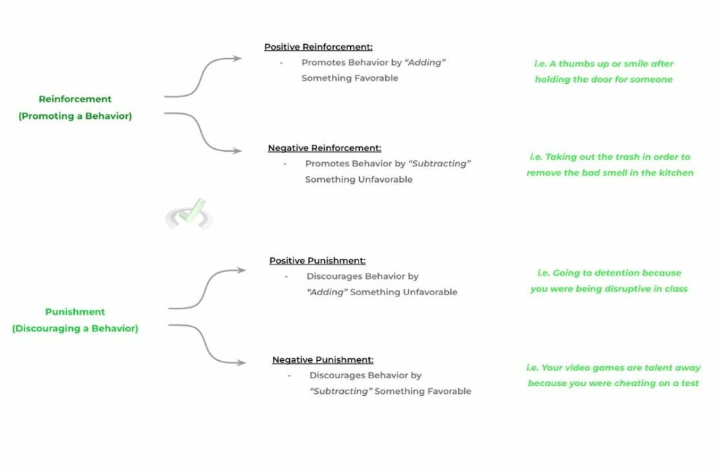 Learning and Memory on the MCAT – MedLife Mastery