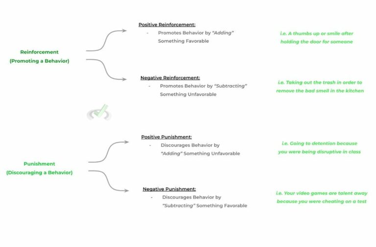 Learning and Memory on the MCAT – MedLife Mastery