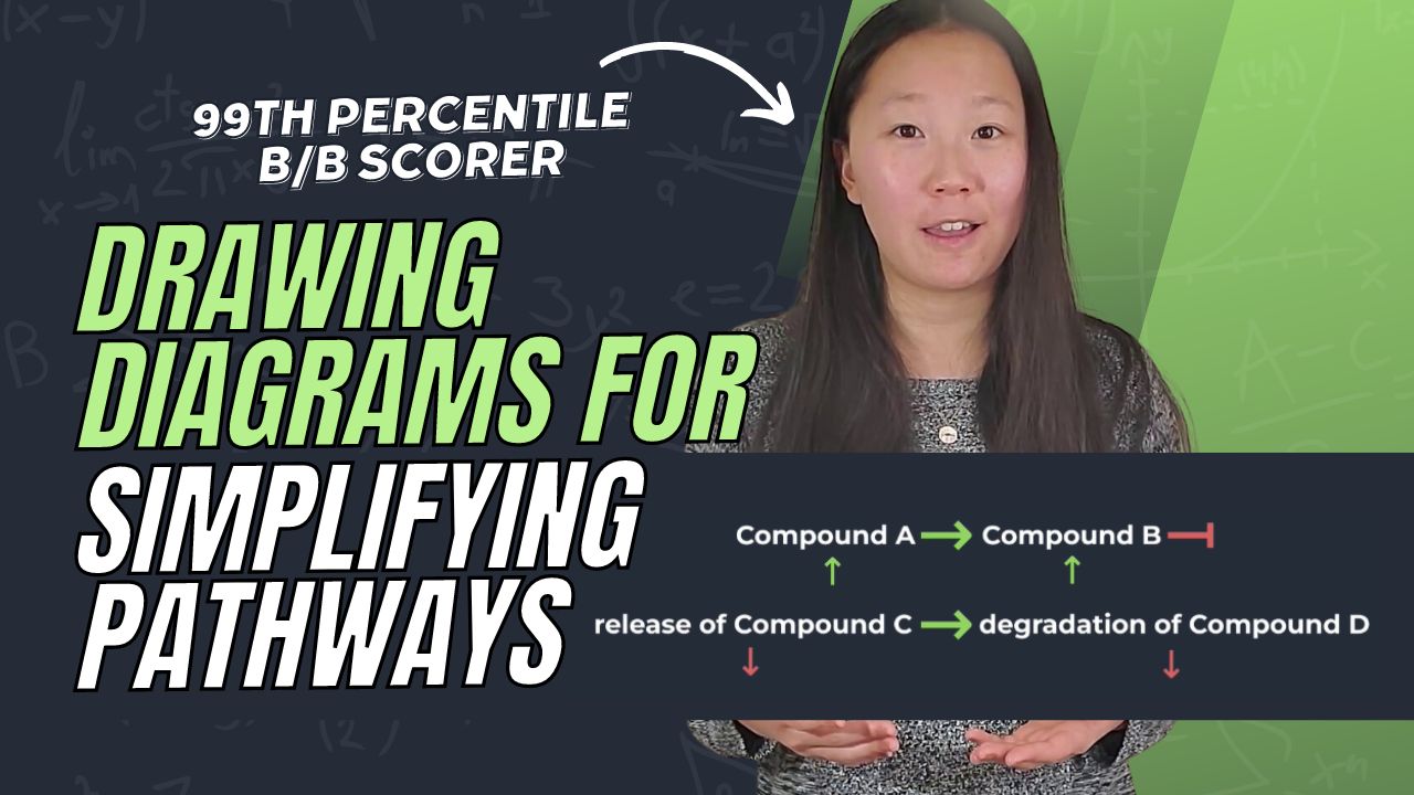 How I Simplified Bio/Biochem Pathways on the MCAT – MedLife Mastery