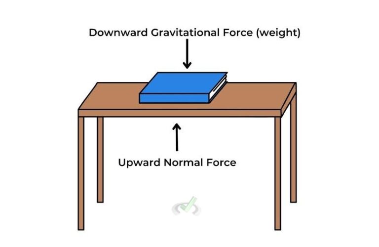 Mechanical Equilibrium - MCAT Content – MedLife Mastery