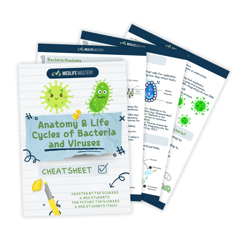 MCAT Cheat Sheets Library: Free PDF Downloads – MedLife Mastery