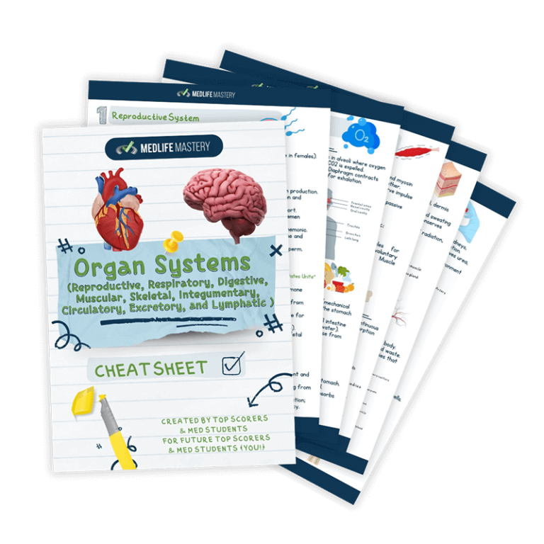 MCAT Cheat Sheets Library: Free PDF Downloads – MedLife Mastery