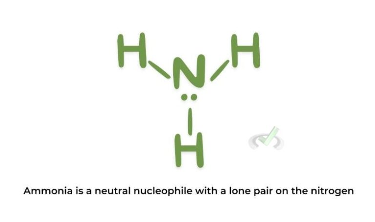 Fundamentals of Nucleophiles and Electrophiles - MCAT Content – MedLife ...