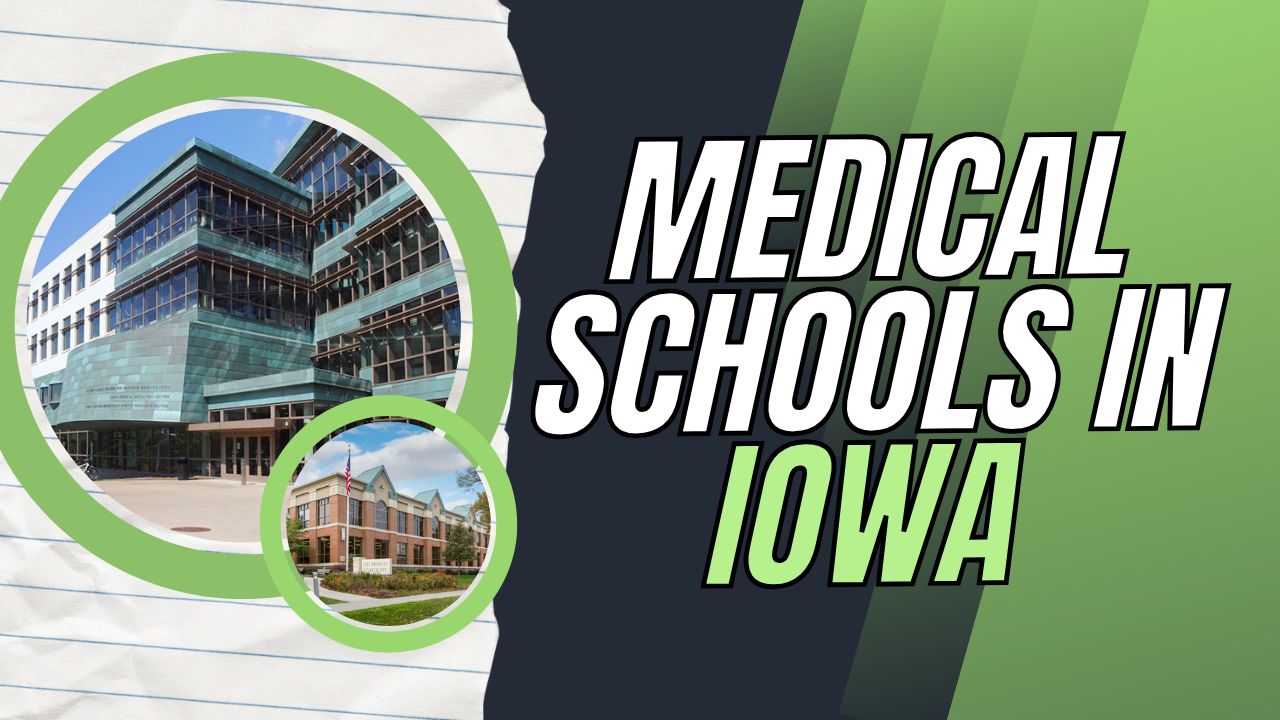 Medical Schools in Iowa – MedLife Mastery