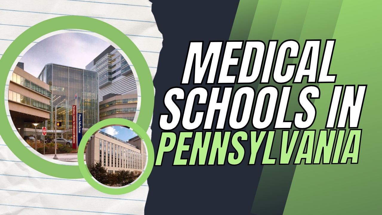 Medical Schools in Pennsylvania – MedLife Mastery