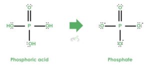 Organic and Inorganic Phosphates - MCAT Content – MedLife Mastery