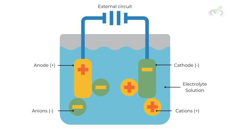 Basic Setup of Electrochemical Cell - MCAT Content – MedLife Mastery