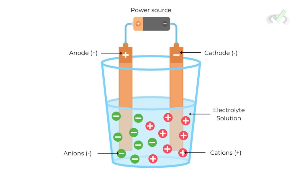 Basic Setup of Electrochemical Cell - MCAT Content – MedLife Mastery