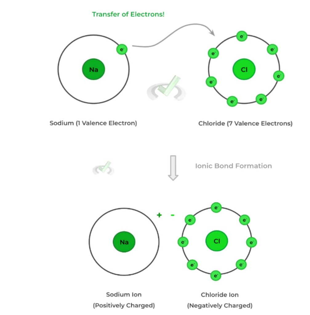 Types of Chemical Bonds - MCAT Content – MedLife Mastery